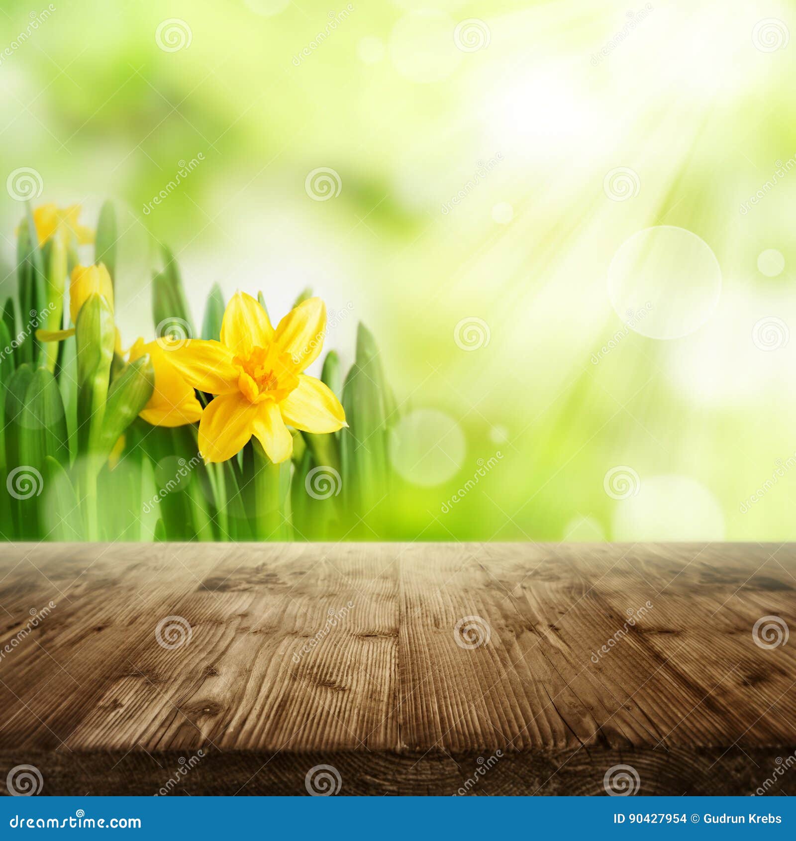 Spring Background with Flowers and Wooden Table Stock Photo - Image of ...
