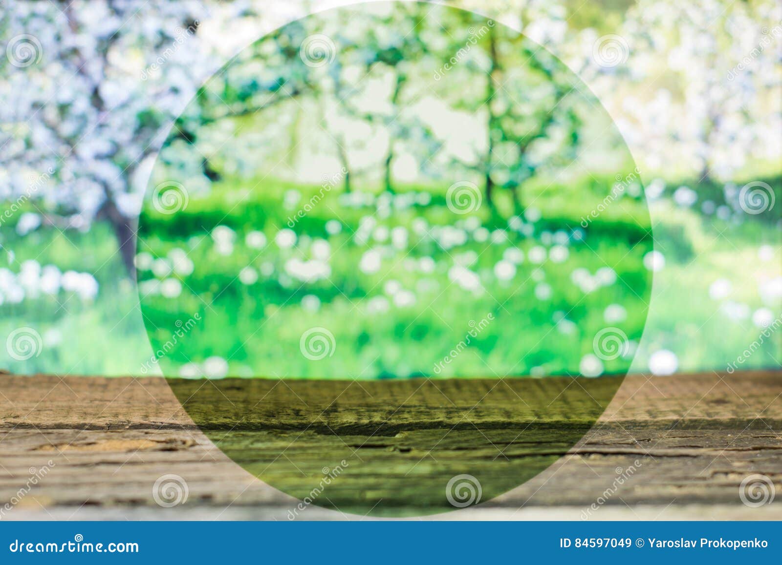 Spring Background with Frame on Wooden Planks Stock Image - Image of ...