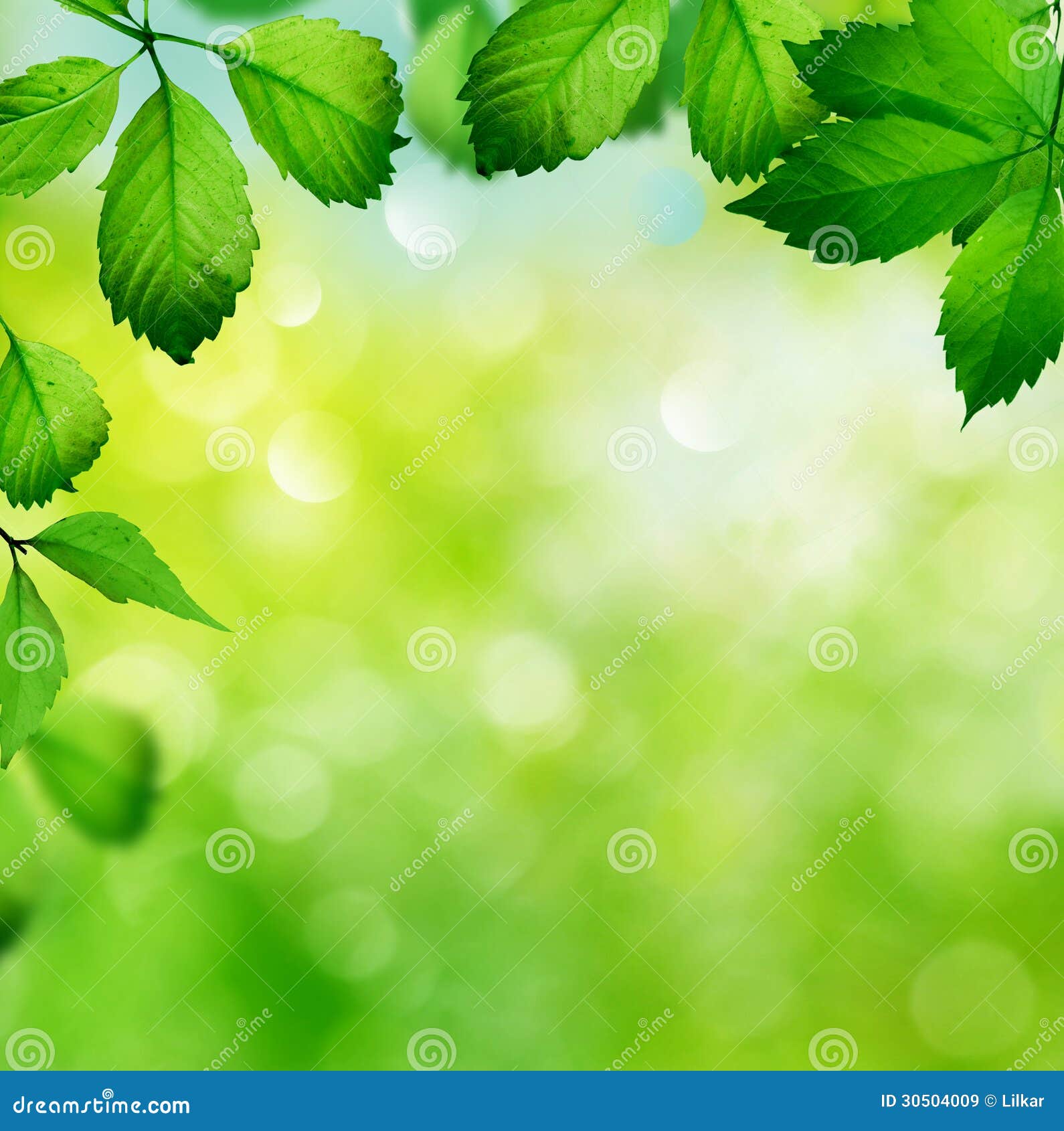 Spring background stock image. Image of daisy, focus - 30504009