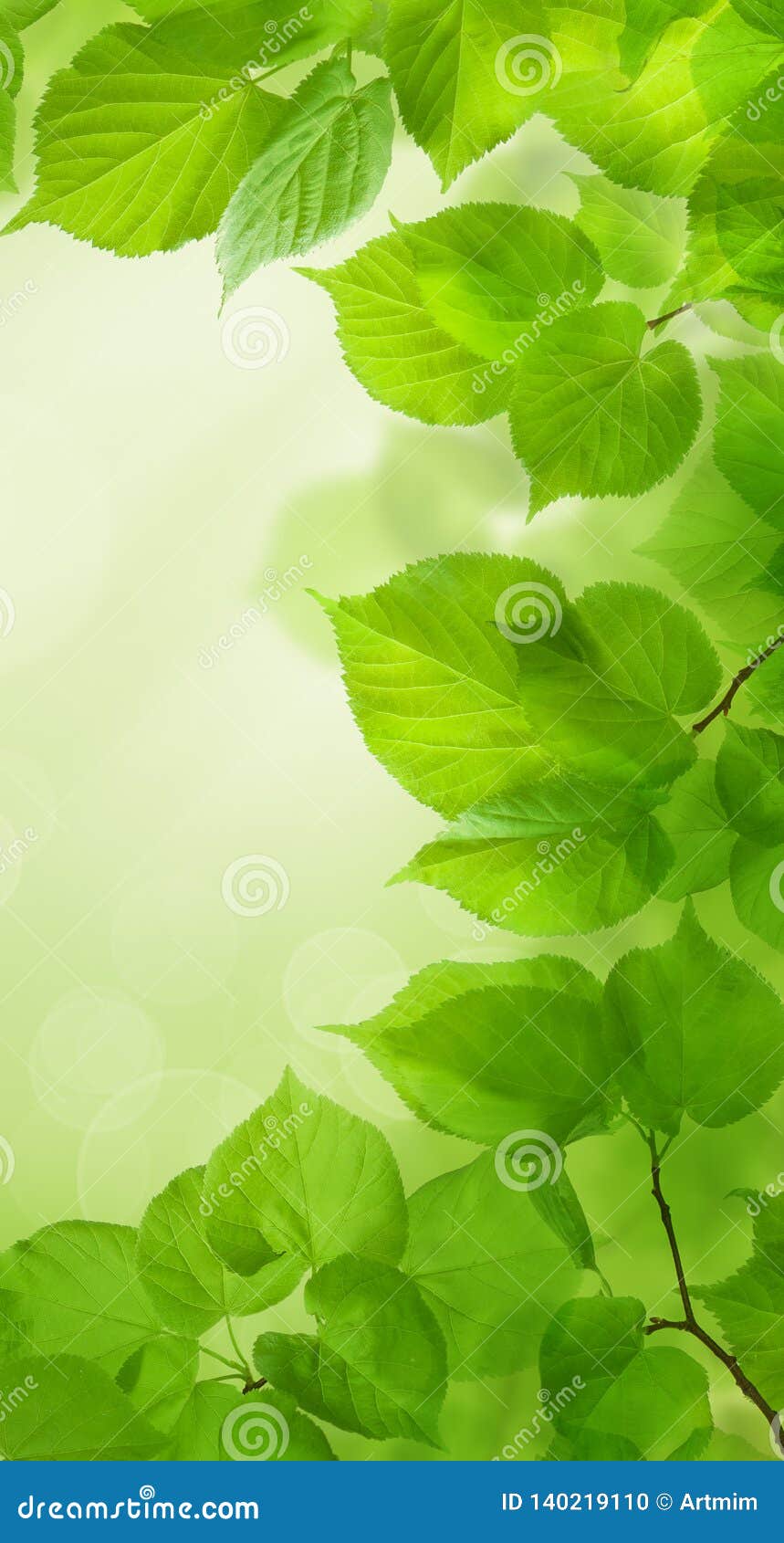 Spring Background with Green Leaves and Sun Light Stock Photo - Image ...