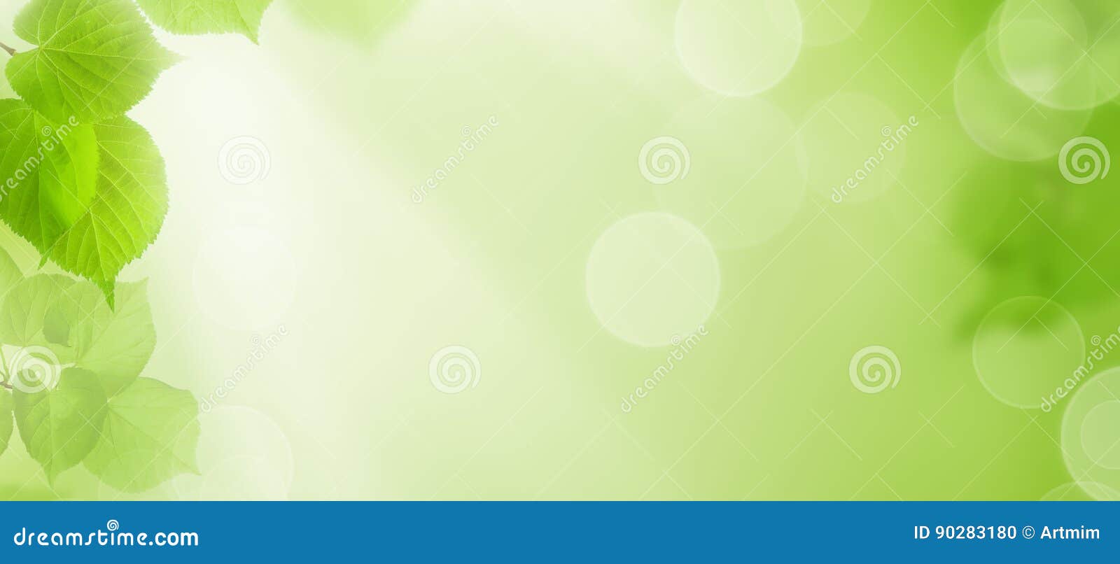 Spring Background with Green Leaves and Sunshine Stock Photo - Image of ...