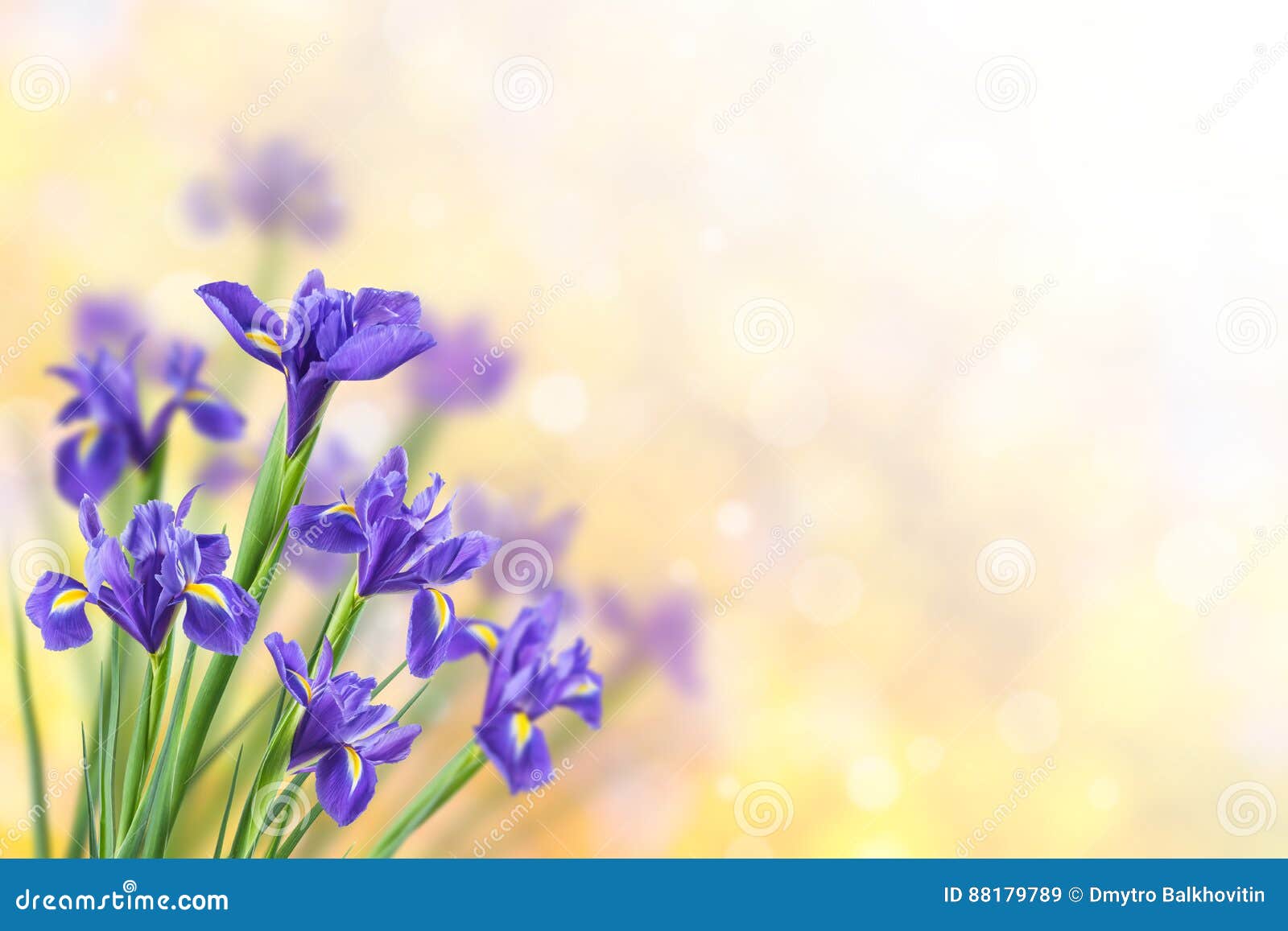Spring Background with Iris Stock Image - Image of garden, pastel: 88179789
