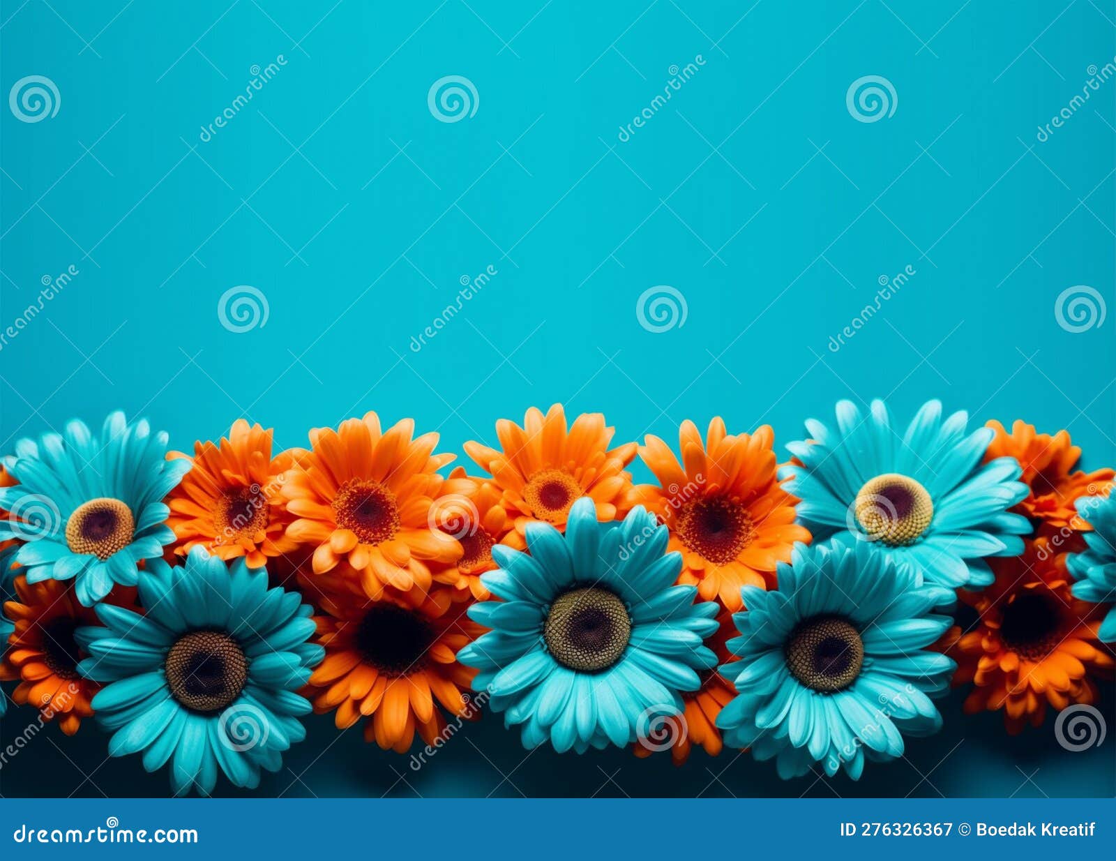 Spring Background, Orange and Blue Blooming Flower Decoration Stock ...