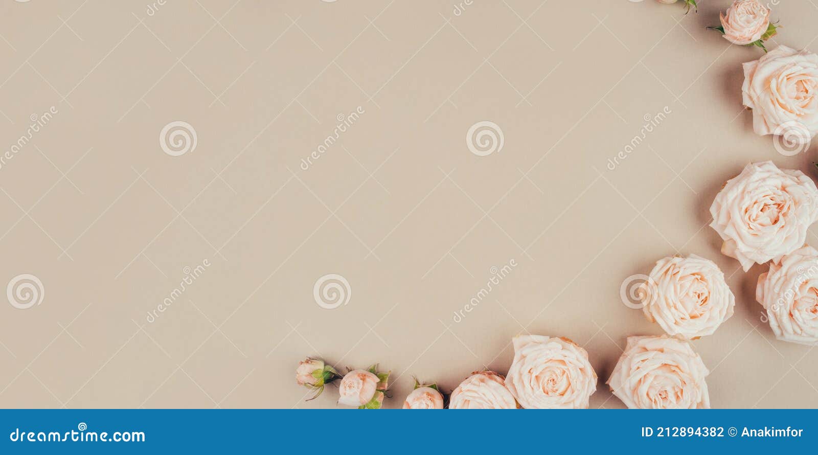Spring Background. Rose Flowers on a Beige Background Stock Photo ...
