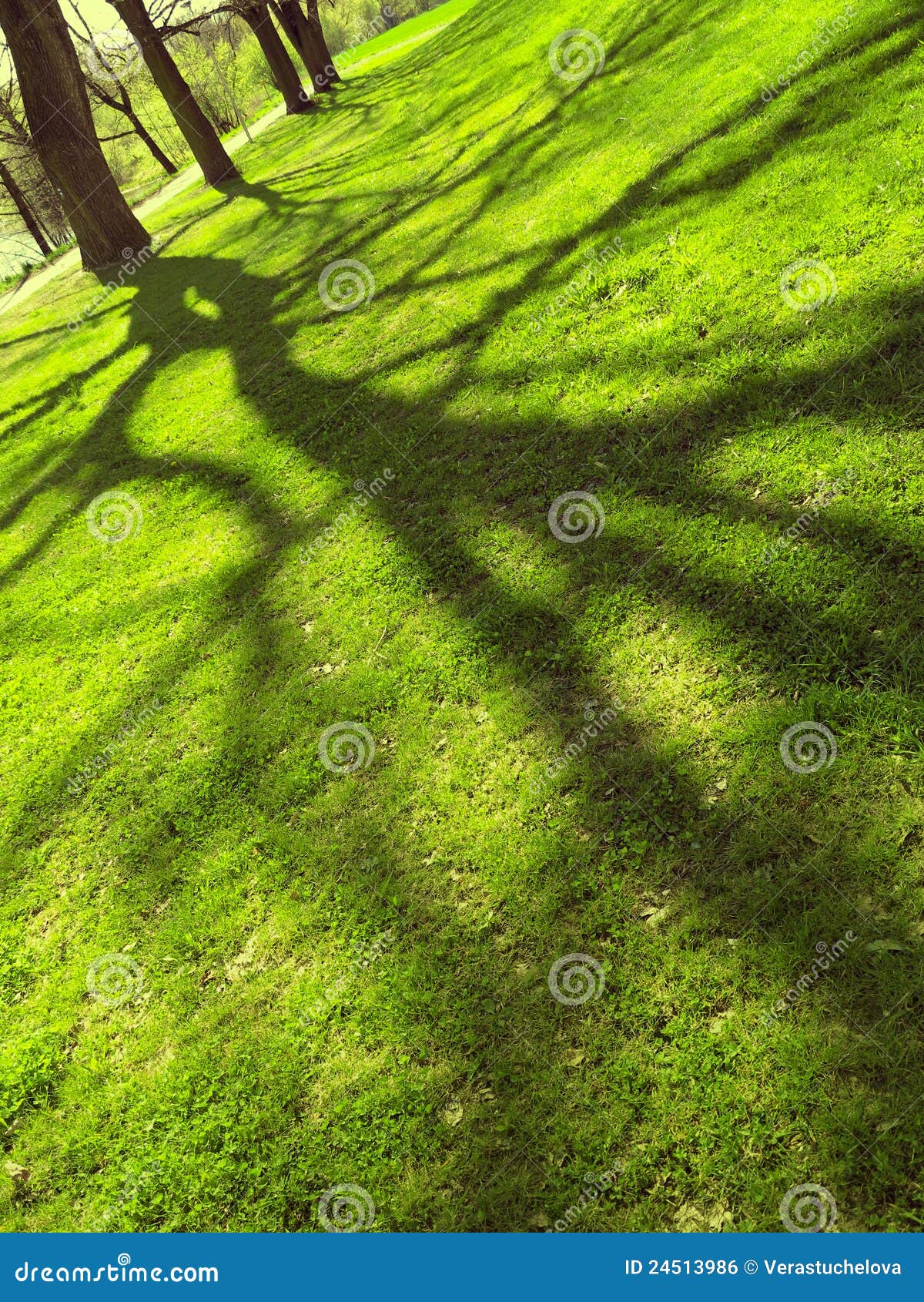 128,007 Spring Shadow Stock Photos - Free & Royalty-Free Stock Photos ...