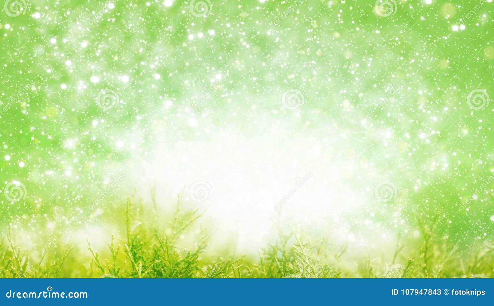 Spring Background, Summer Backgrounds, Grass Stock Image - Image of ...