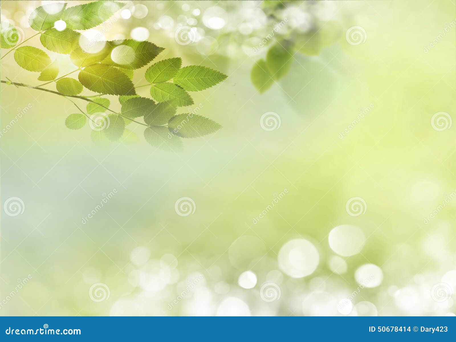 A Spring Background Of Green Budding Leaves. Royalty-Free Stock Photo ...