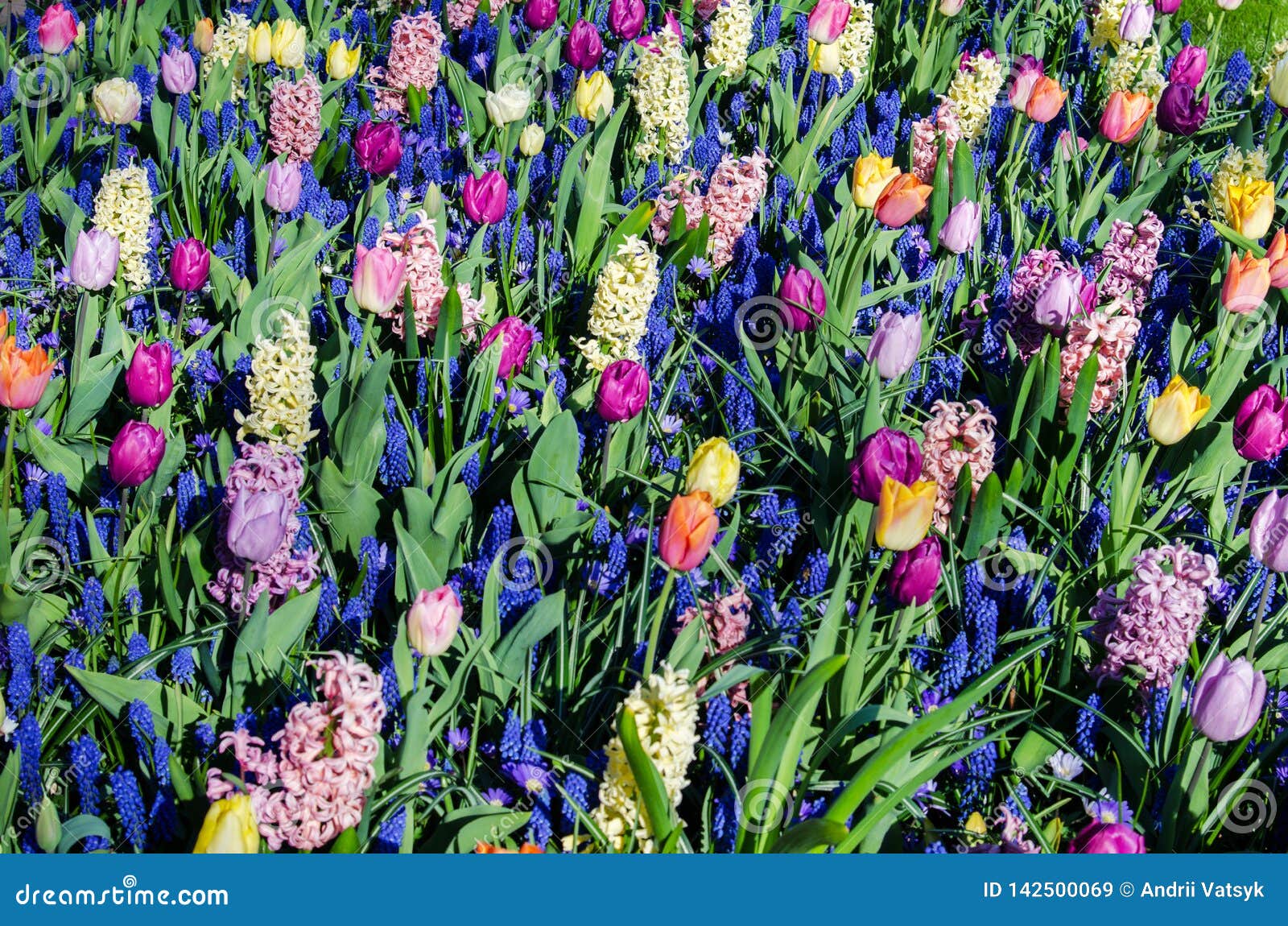 Spring Background Texture from a Variety of Colors Stock Image - Image ...