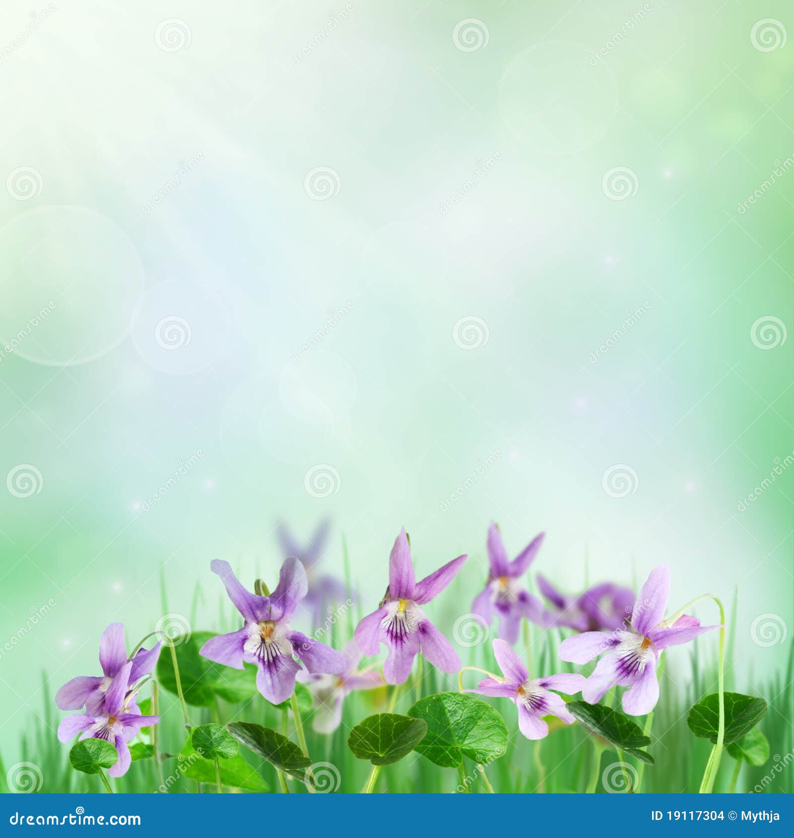 Spring Background with Violets Stock Photo - Image of defocus, fresh ...