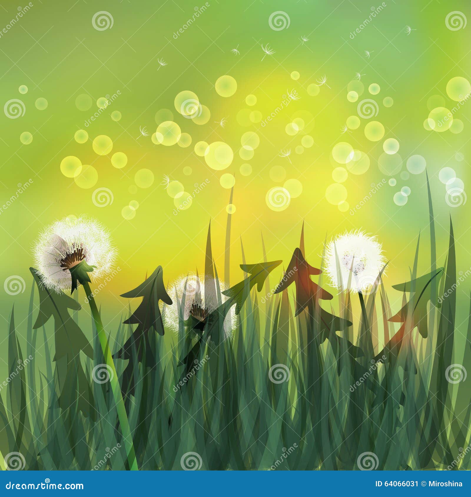Spring Background with White Dandelions. Stock Vector - Illustration of ...
