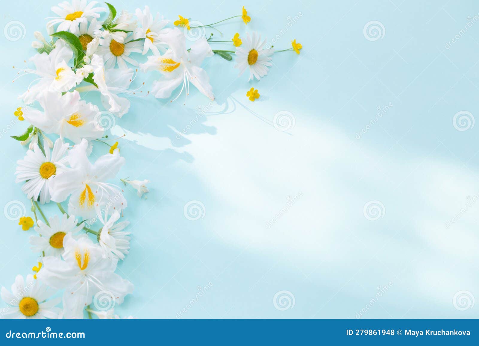 Spring Background with White Flowers Stock Photo - Image of composition ...