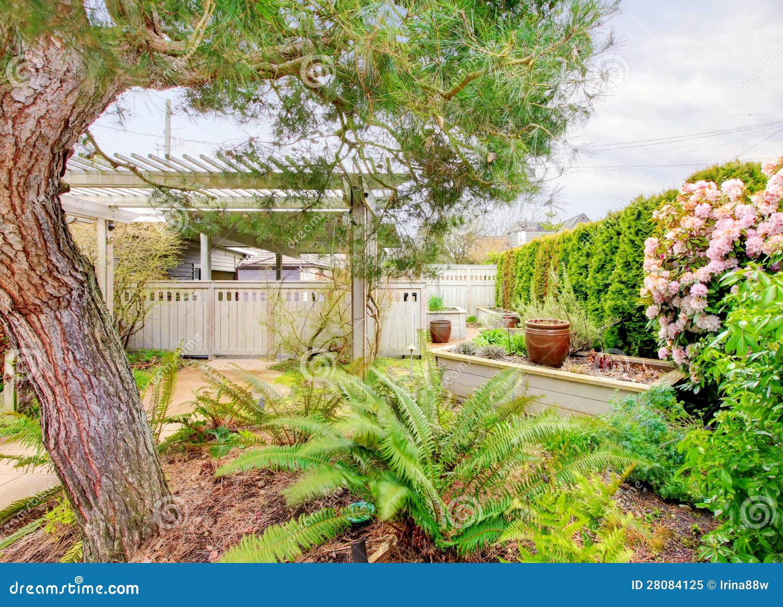 Spring Backyard with Garden Beds Stock Image - Image of small, flower ...