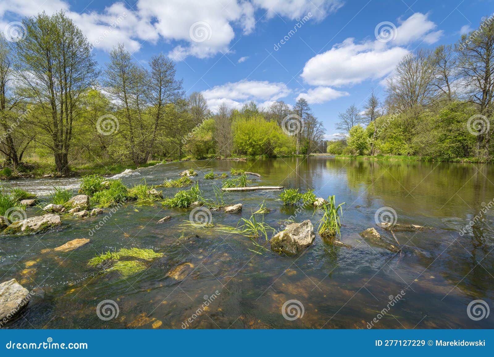 Spring on the Banks of the Warta River, Poland. Stock Image - Image of ...