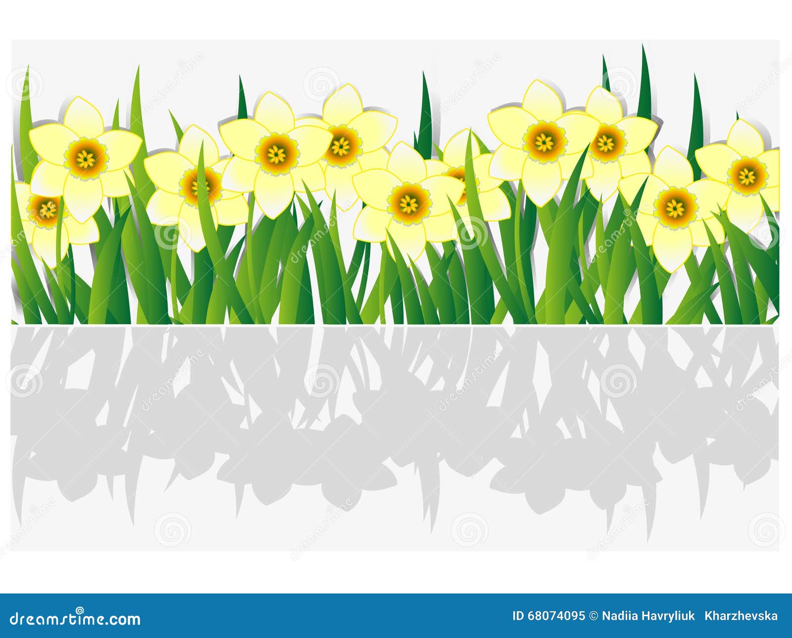 Spring Banner with Daffodils. Stock Vector - Illustration of lawn ...