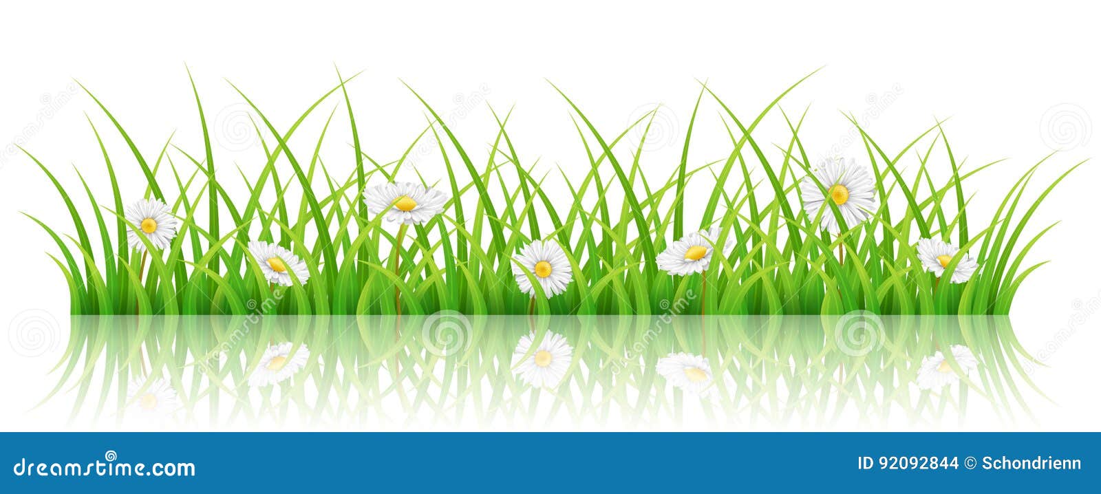 Spring Banner with Green Grass and White Daisy Flowers Stock Vector ...