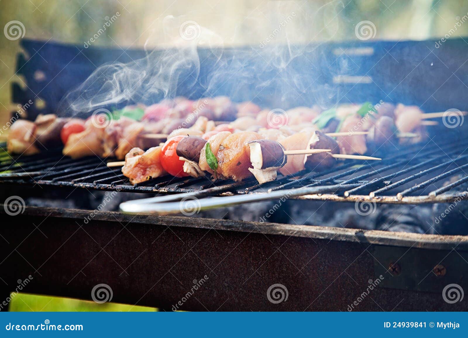 Spring barbecue stock image. Image of meal, fire, baked - 24939841