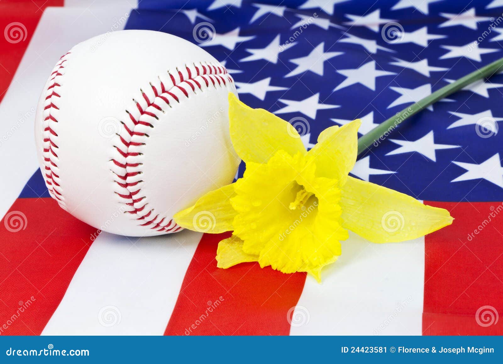 Spring Baseball stock image. Image of american, dedication - 24423581