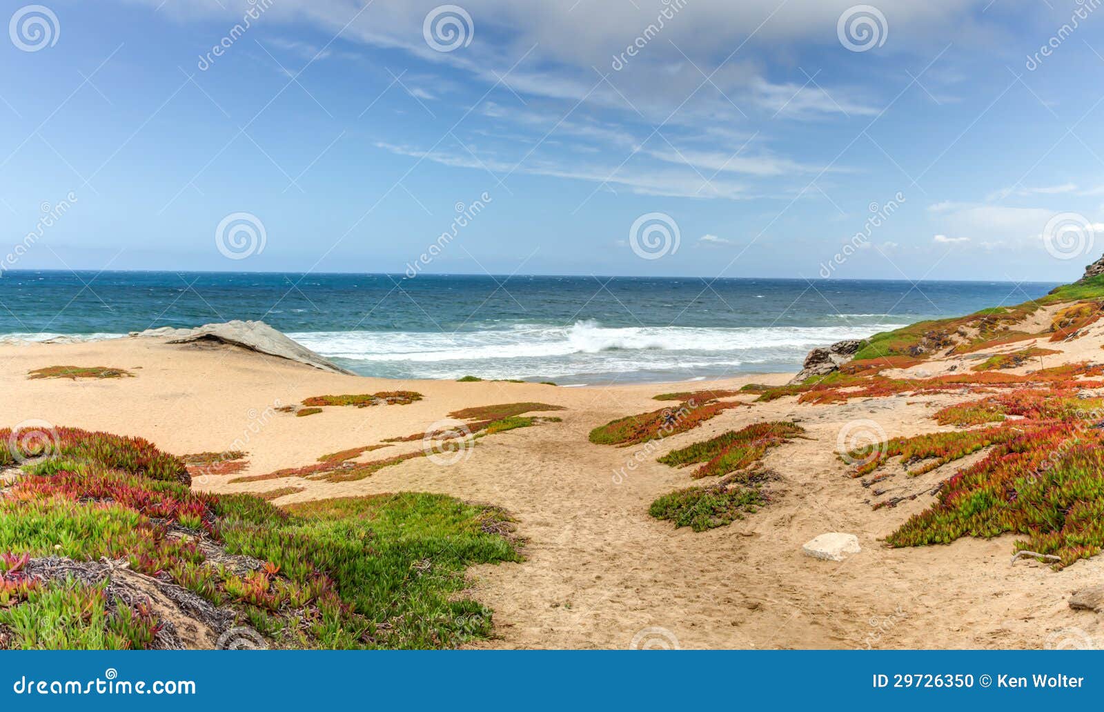 Spring Beach Wallpaper Free