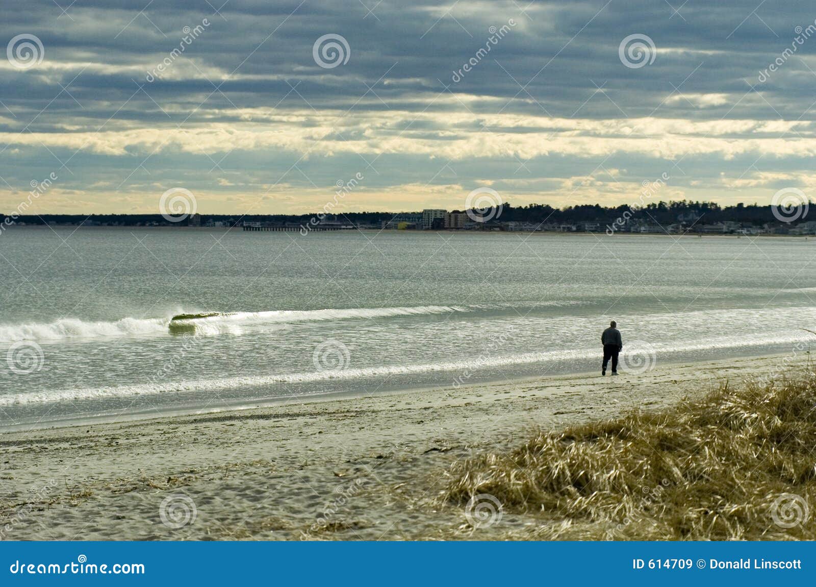 Spring Beaches stock image. Image of peace, grass, atlantic - 614709
