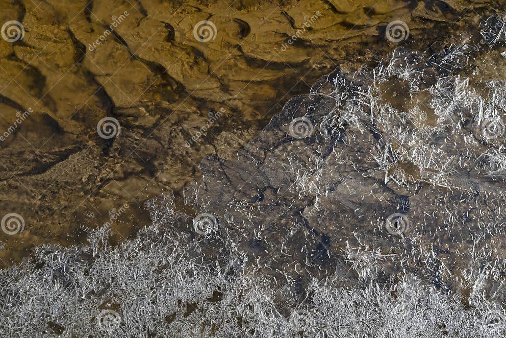 Spring Pattern of Ice Crust and Brownish Bottom in a Small Brook Stock ...