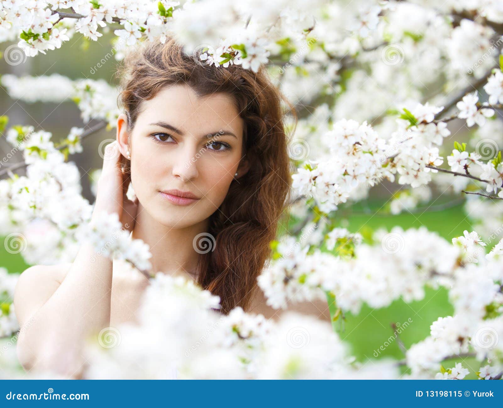 Spring beauty stock image. Image of harmony, purity, relax - 13198115
