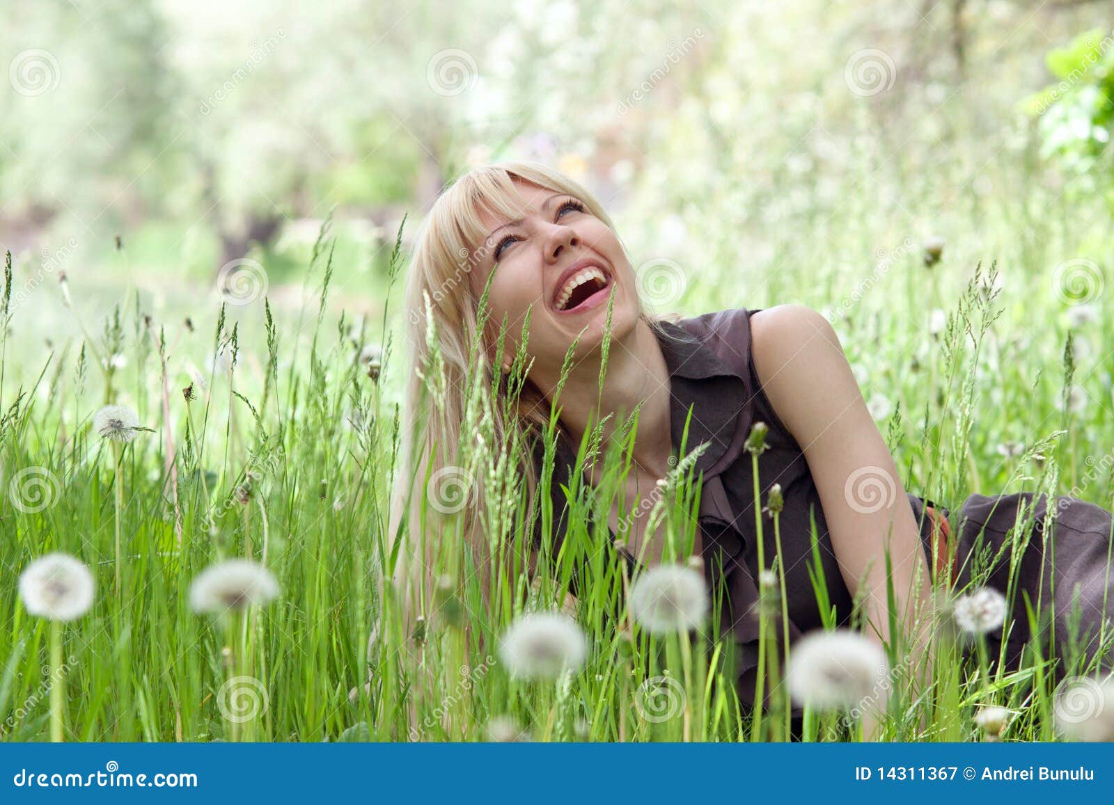 Spring beauty stock image. Image of beauty, blonde, blowball - 14311367
