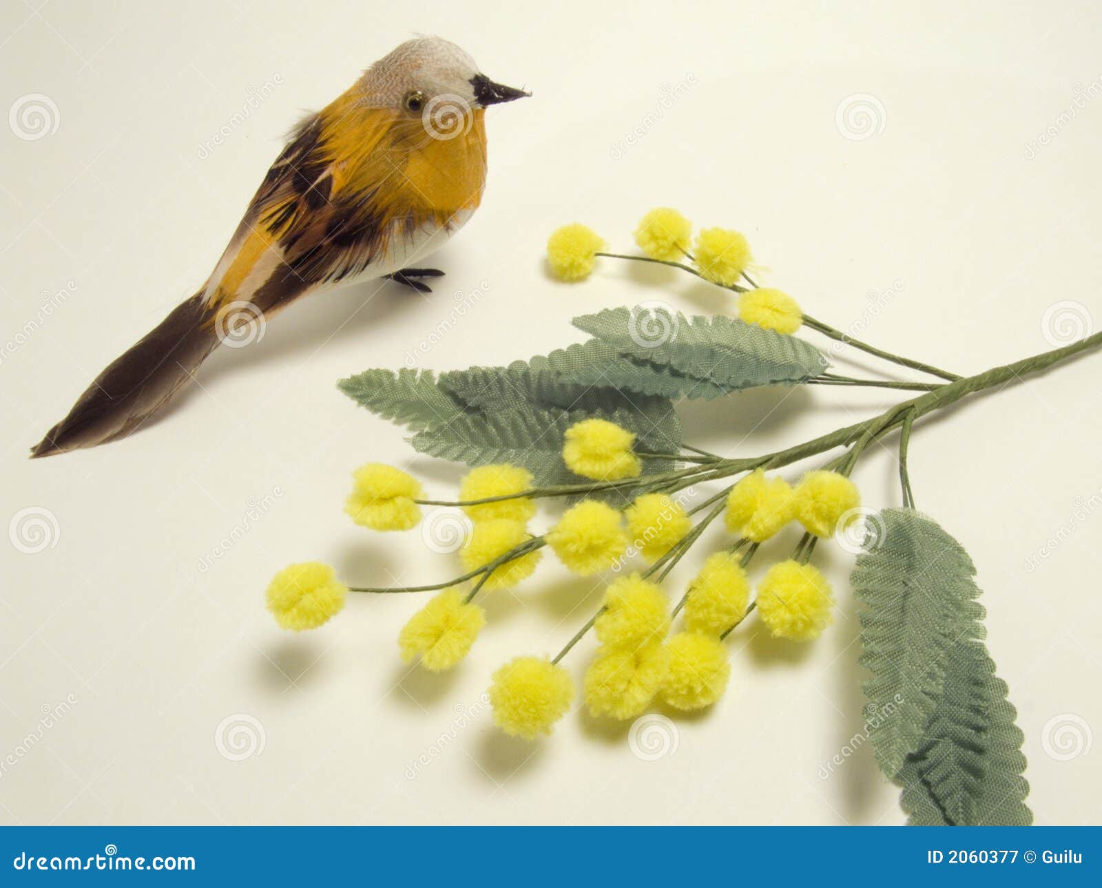 Spring begins stock image. Image of tree, green, colors - 2060377