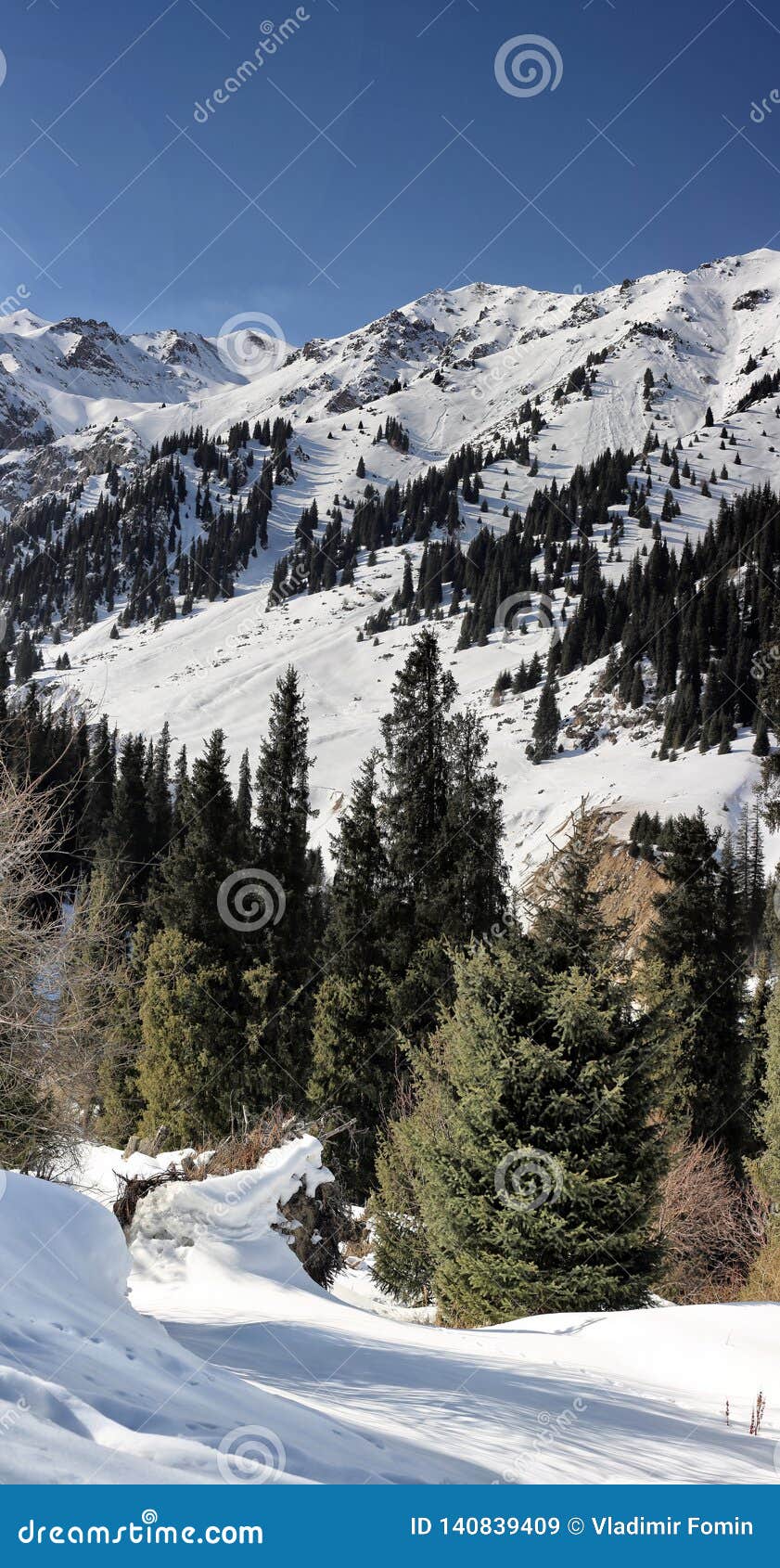 Spring Begins in the Mountains. Stock Image - Image of white, begins ...
