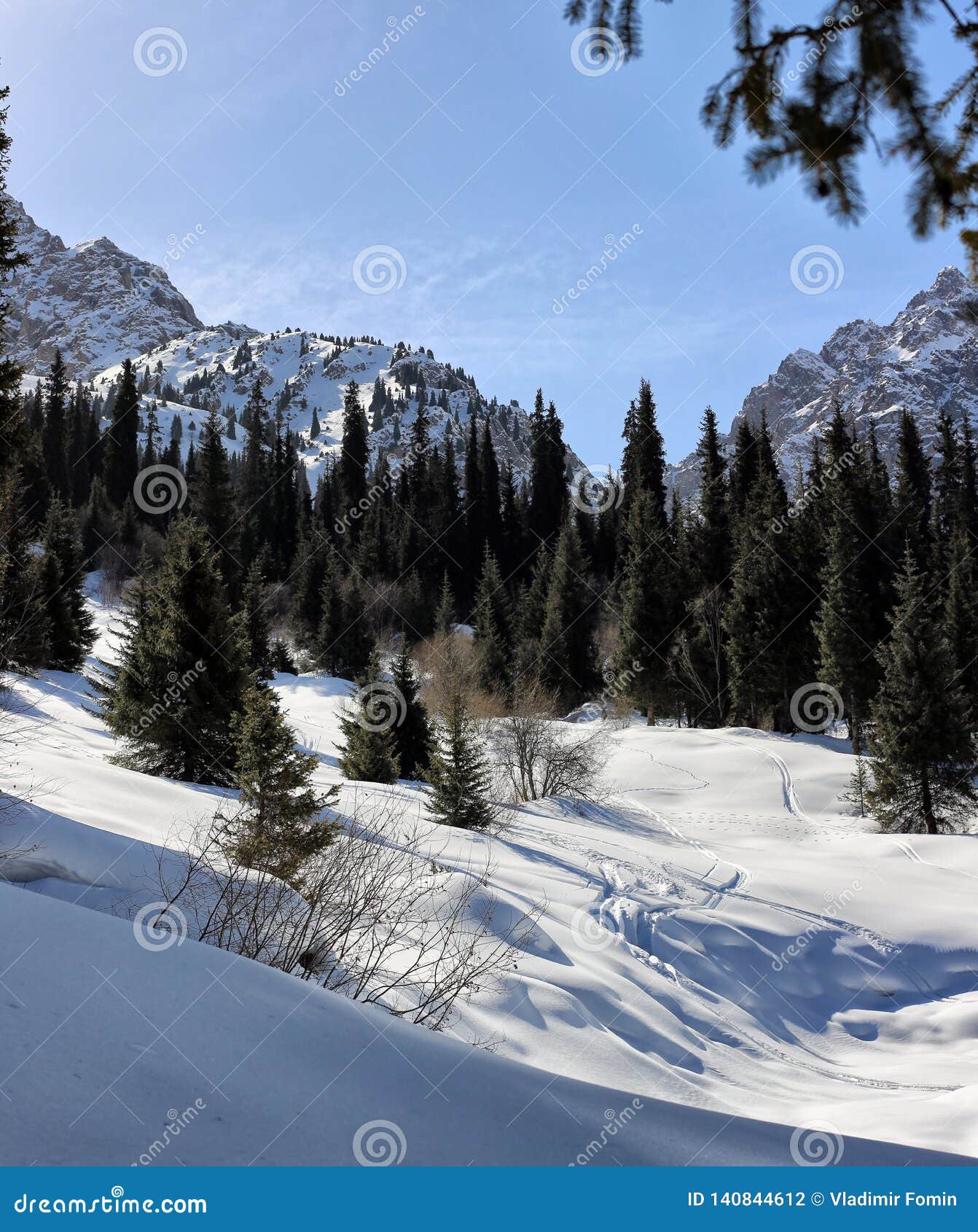 Spring Begins in the Mountains. Stock Photo - Image of background ...