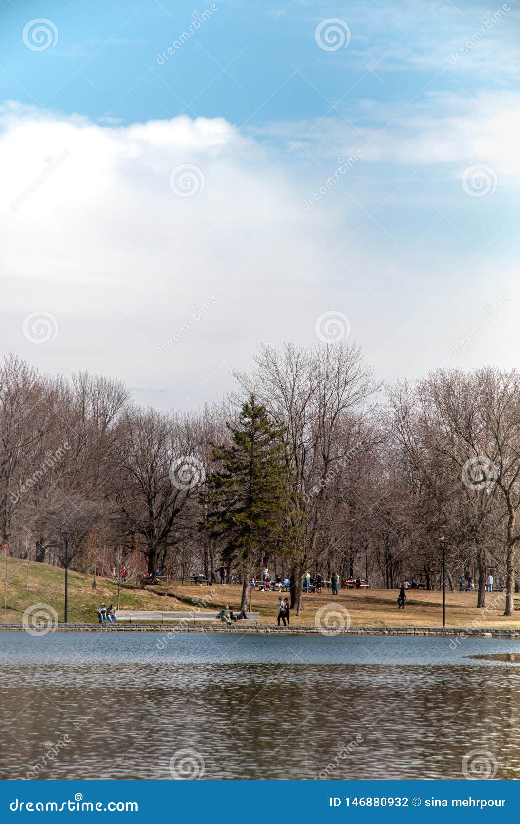 Spring begins stock photo. Image of spring, lake, trees - 146880932