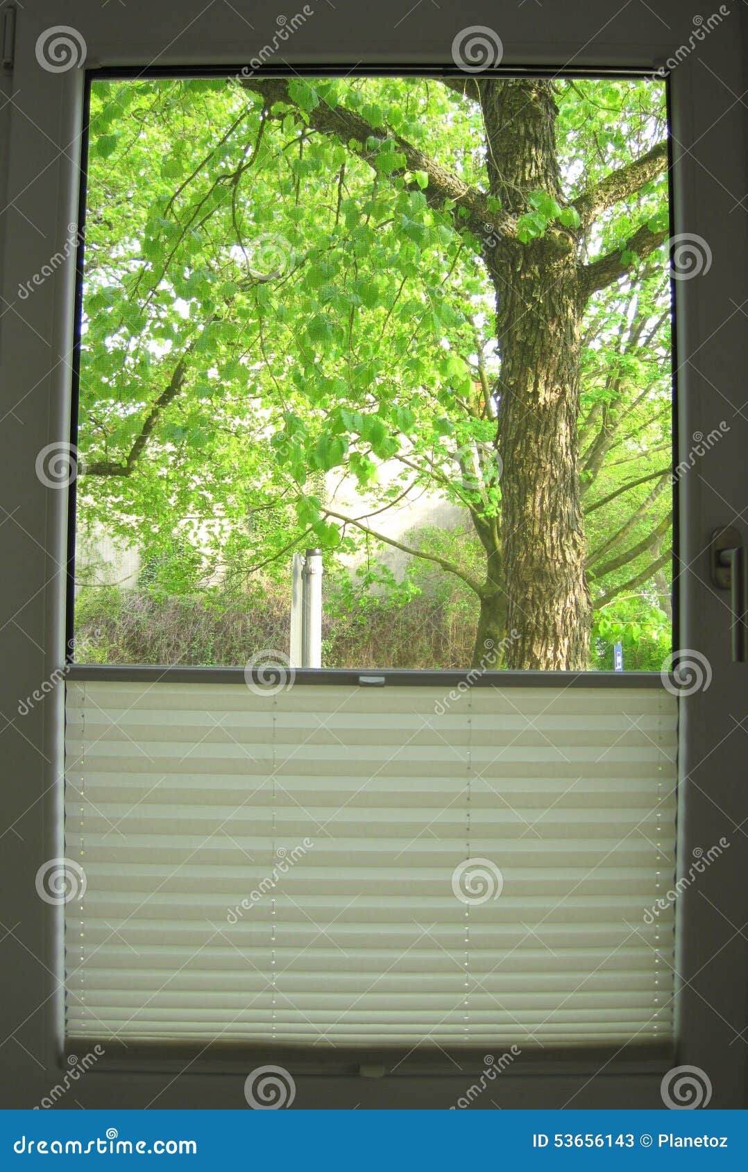 Spring behind the window stock image. Image of early - 53656143