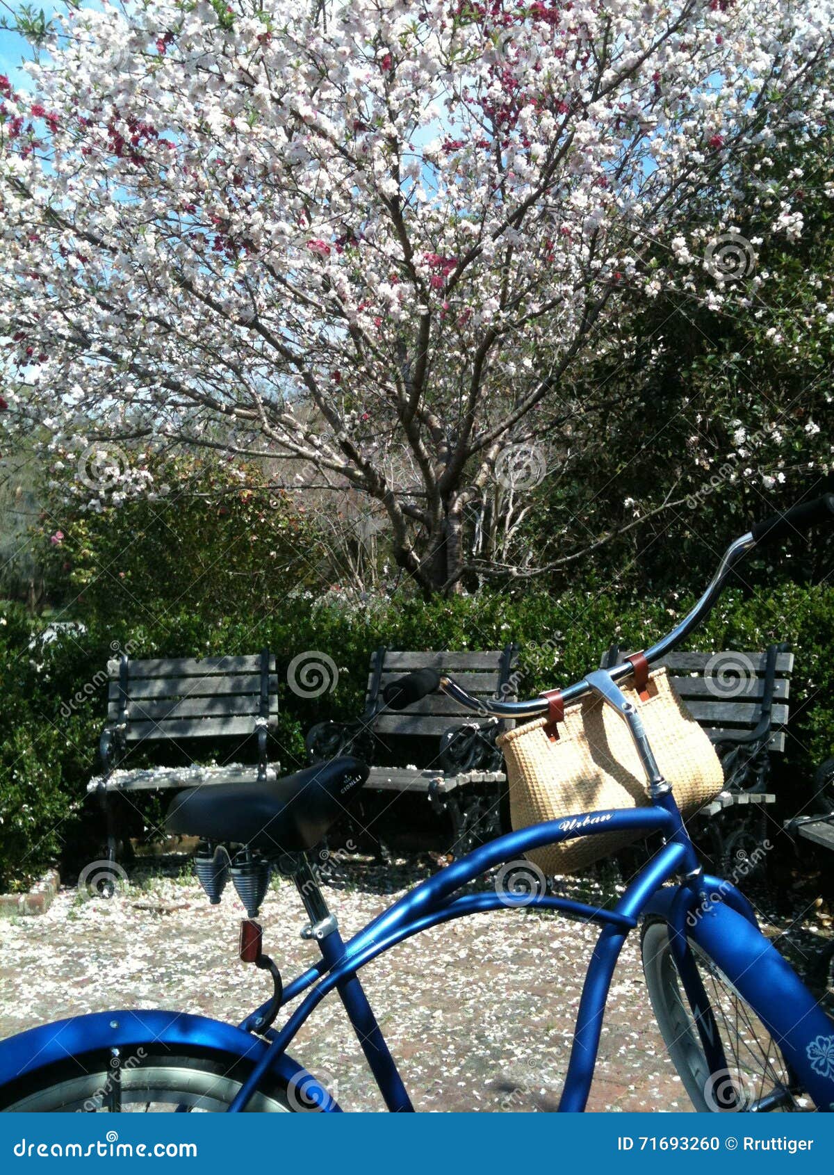 Spring bike ride stock photo. Image of bike, blue, spring - 71693260