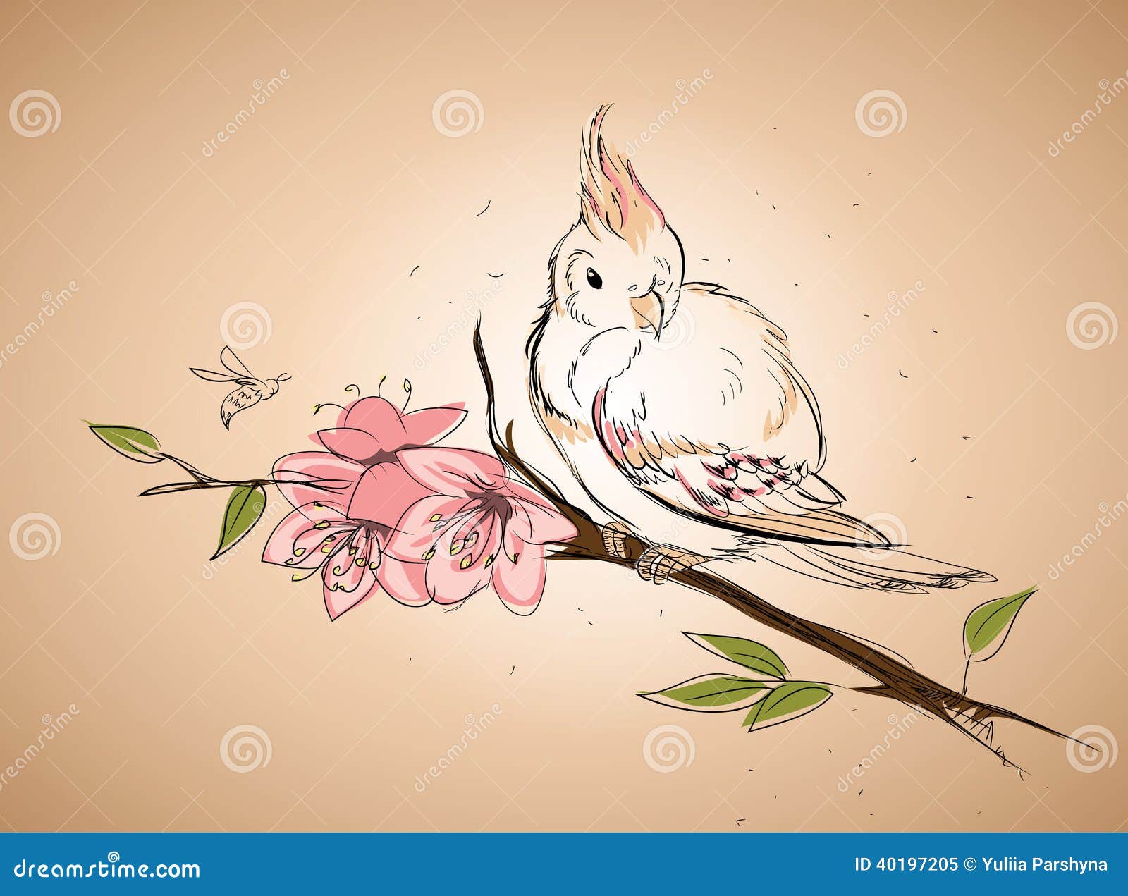 Spring bird stock illustration. Illustration of sketch - 40197205