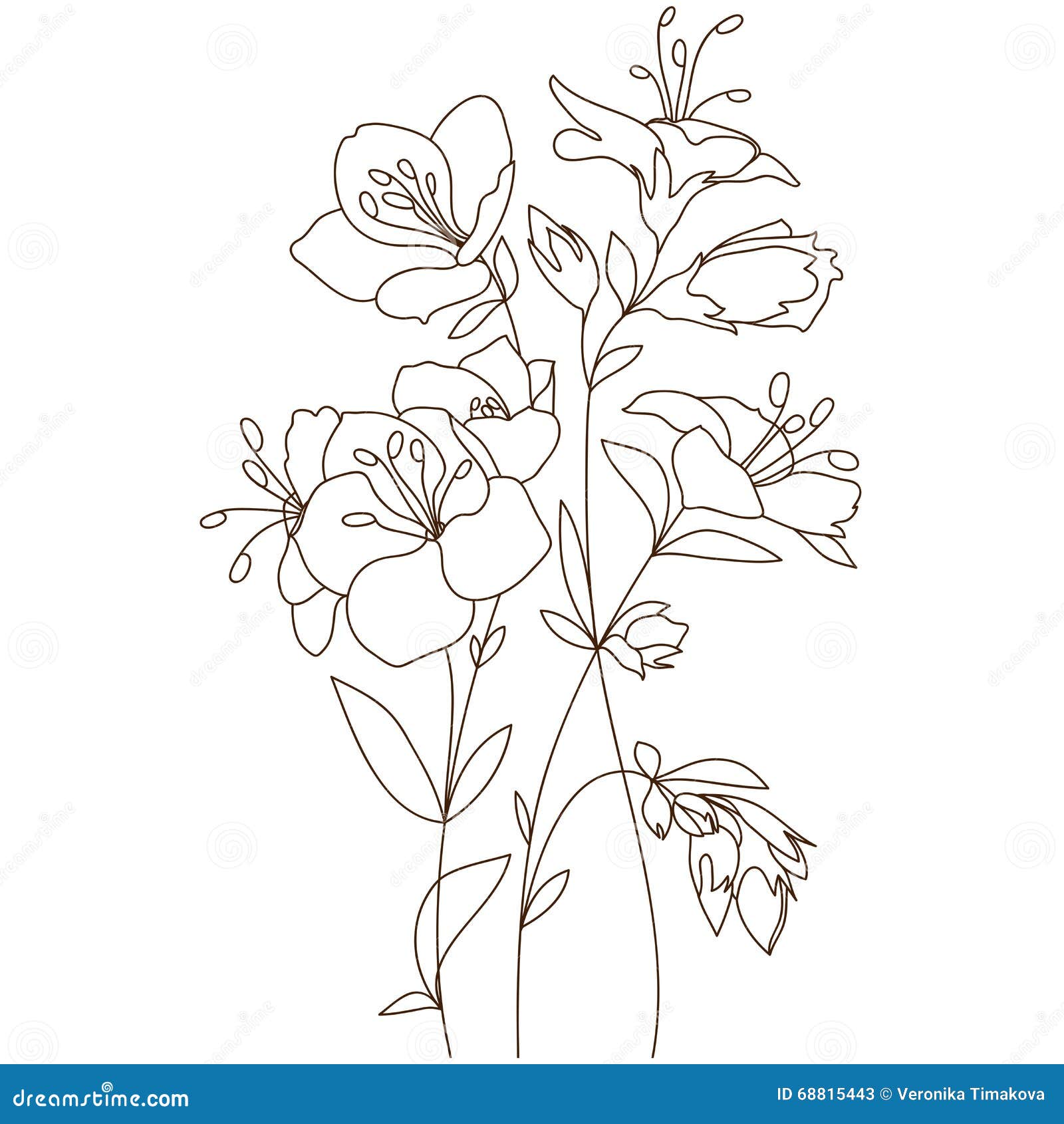 Spring Blooming Bouquet stock vector. Illustration of beautiful - 68815443