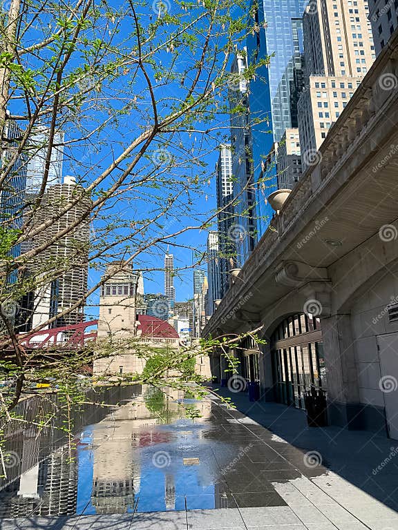 Spring is Blooming on the Chicago Riverwalk, Reflected in the Puddle of ...