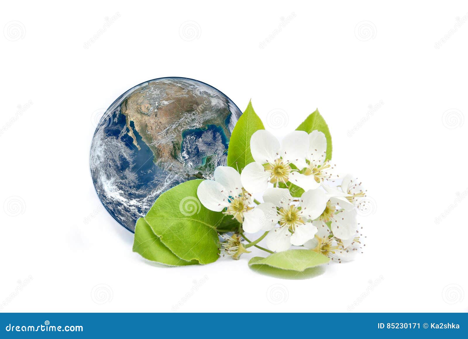Spring Blooming Earth on White Background Elements Furnished by NASA ...