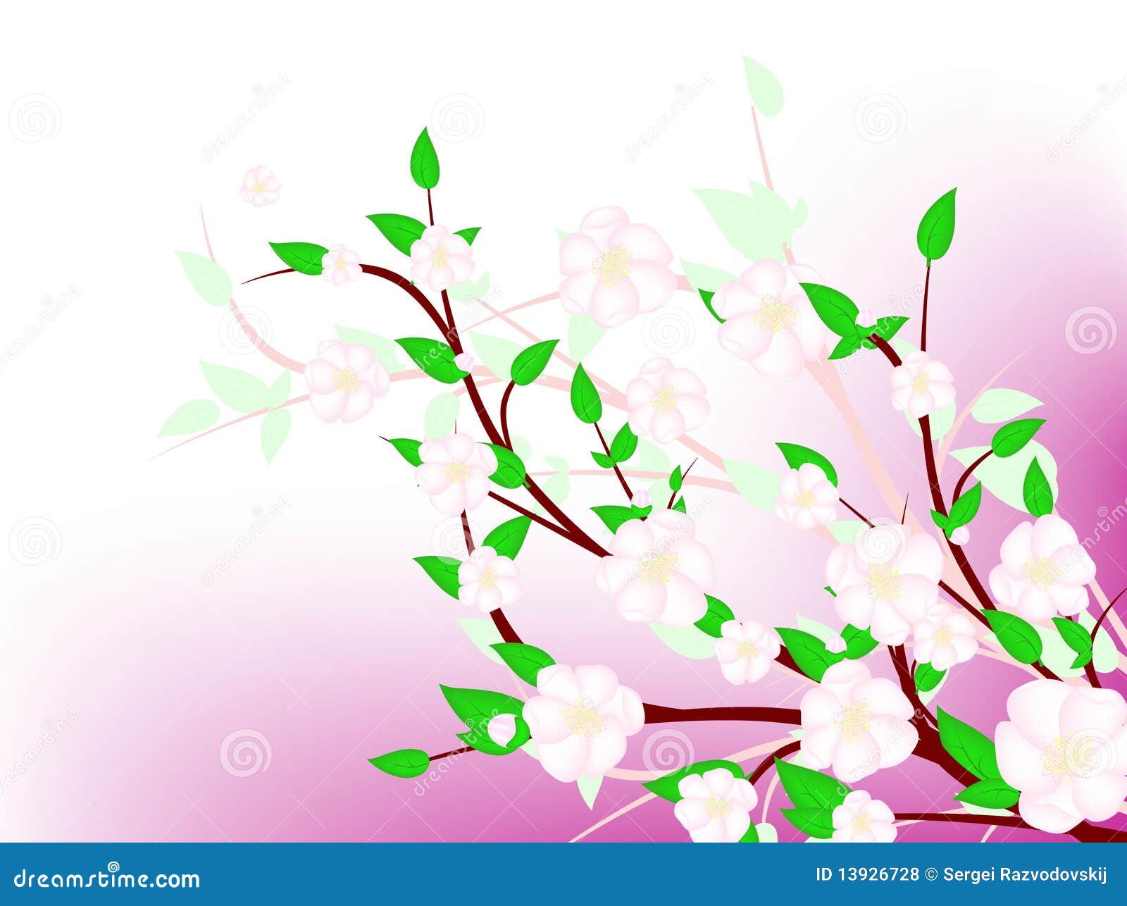 Spring blossom stock vector. Illustration of spring, dream - 13926728