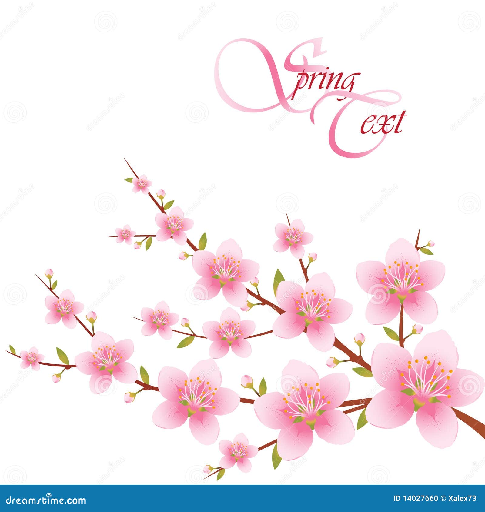 Spring Blossom stock vector. Illustration of brochure - 14027660