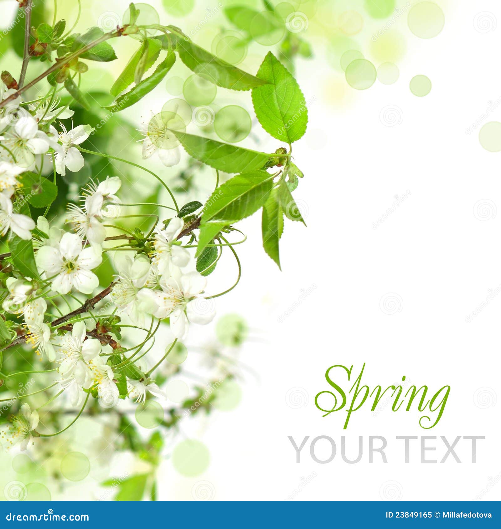 Spring blossom border stock image. Image of branch, blur - 23849165