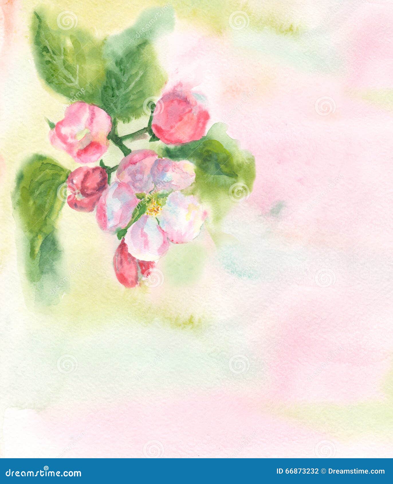 Spring blossoms stock illustration. Illustration of doodle - 66873232