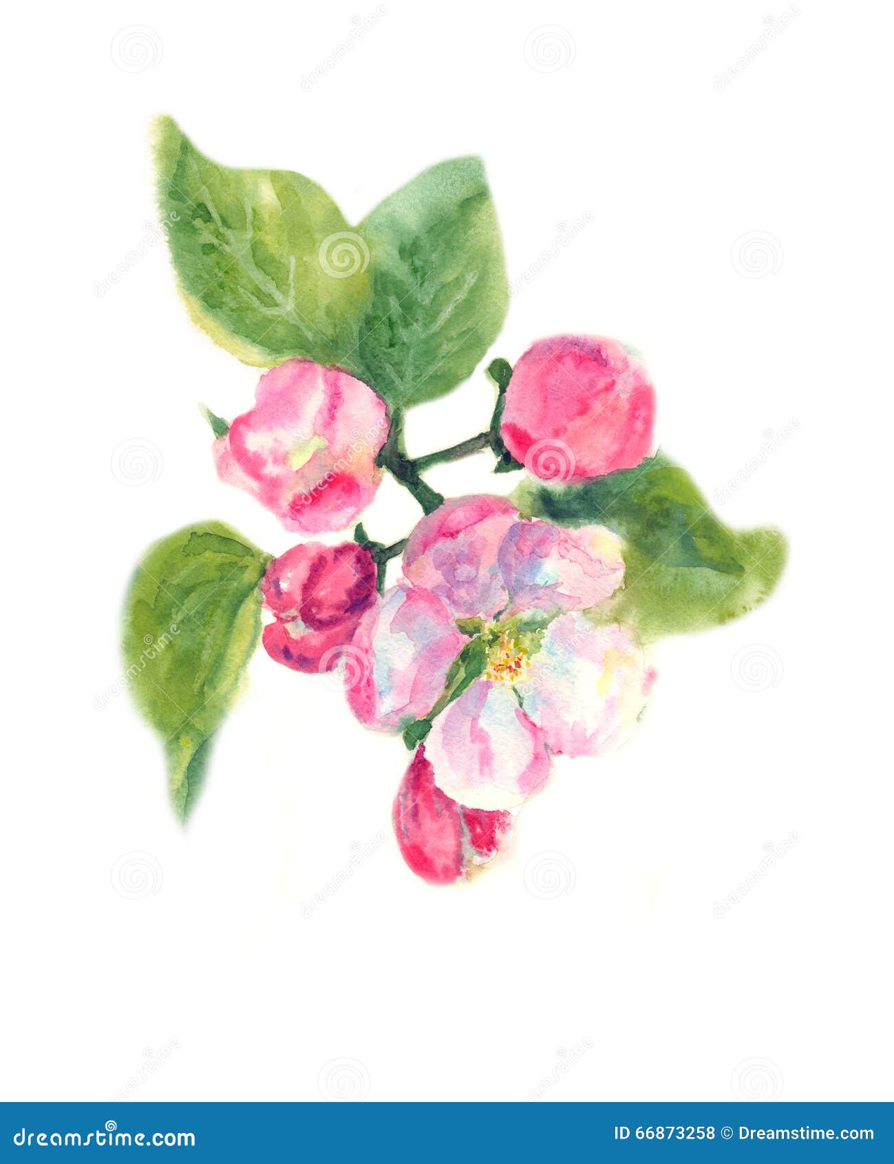 Spring blossoms_1 stock illustration. Illustration of doodle - 66873258