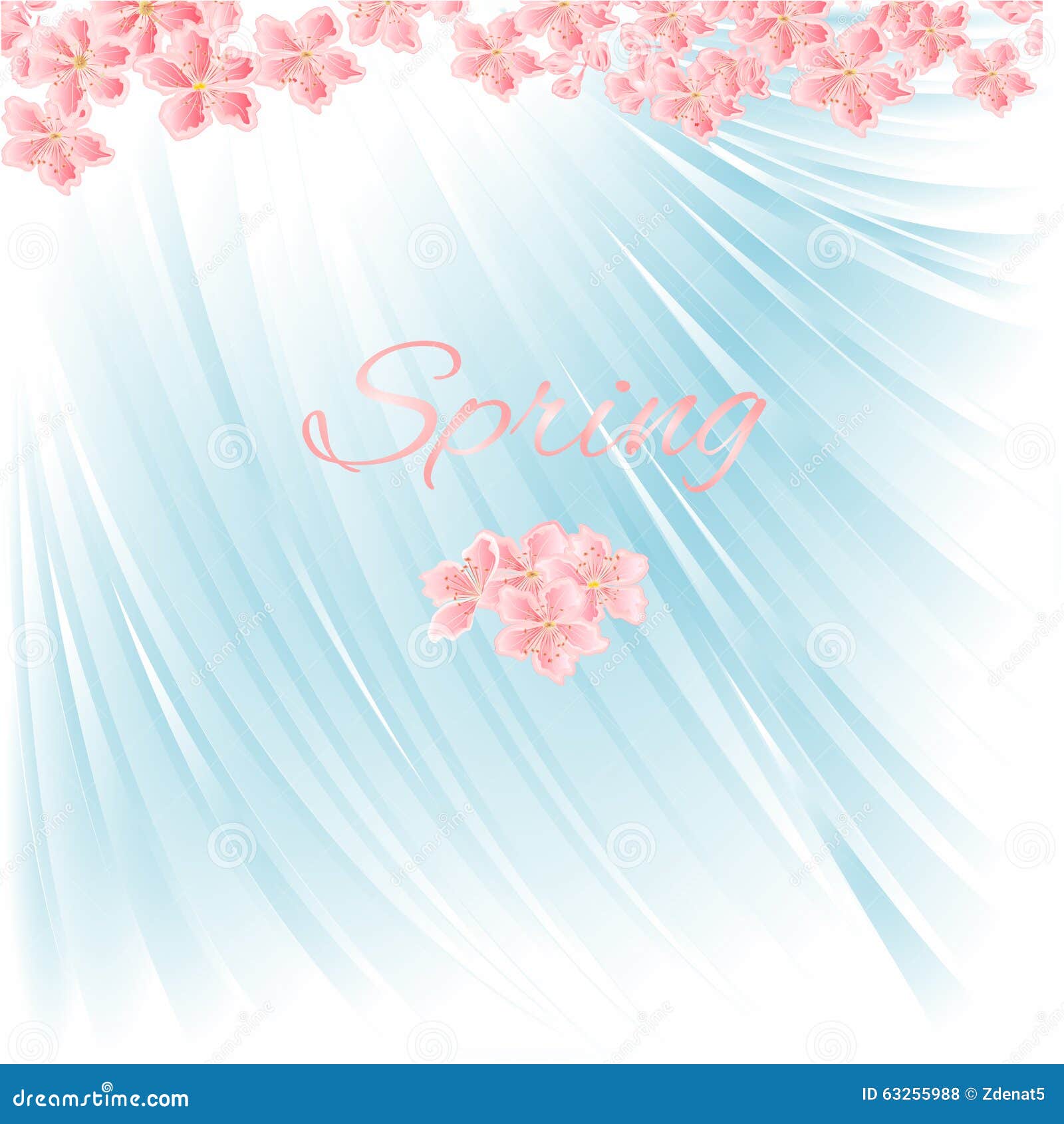Spring Blue Background with Cherry Blossom Vector Stock Vector ...