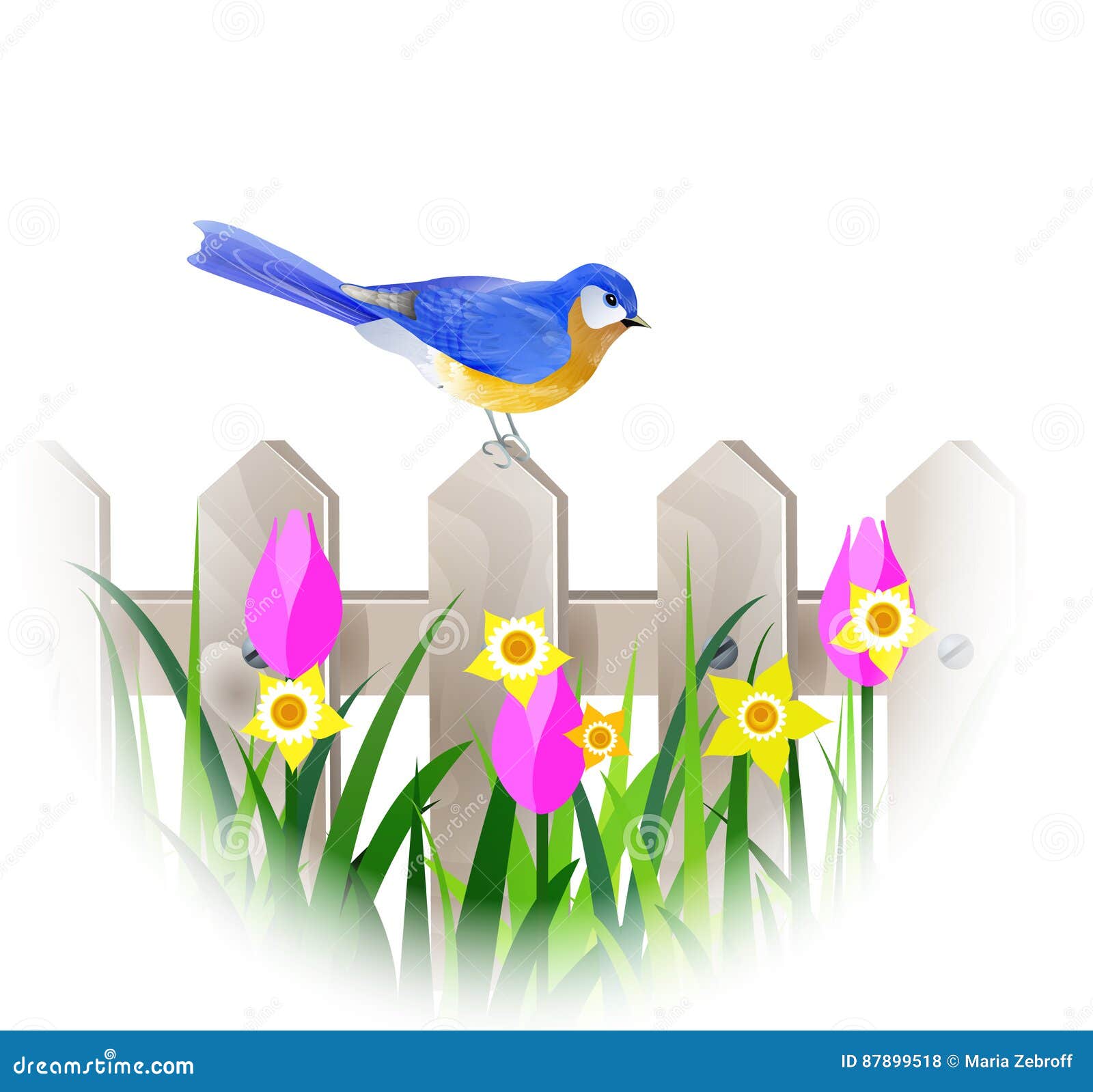 Spring blue bird stock vector. Illustration of meadow - 87899518