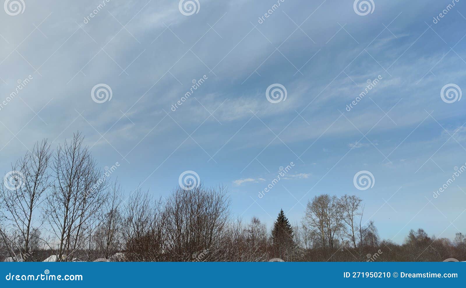Spring Blue Sky with White Clouds and Trees with Bare Branches and Buds ...