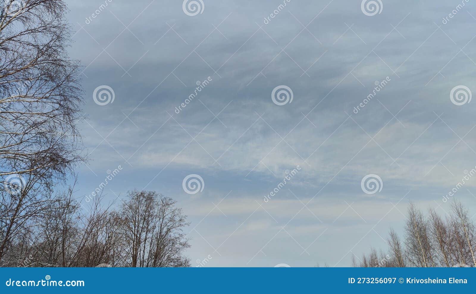 Spring Blue Sky with White Clouds and Trees with Bare Branches and Buds ...