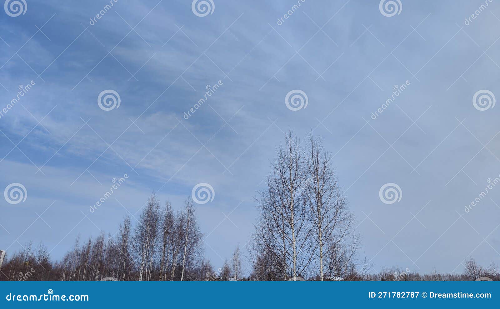 Spring Blue Sky with White Clouds and Trees with Bare Branches and Buds ...