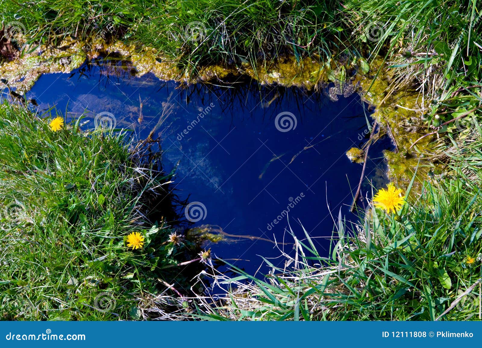 Spring with blue water stock photo. Image of cool, water - 12111808