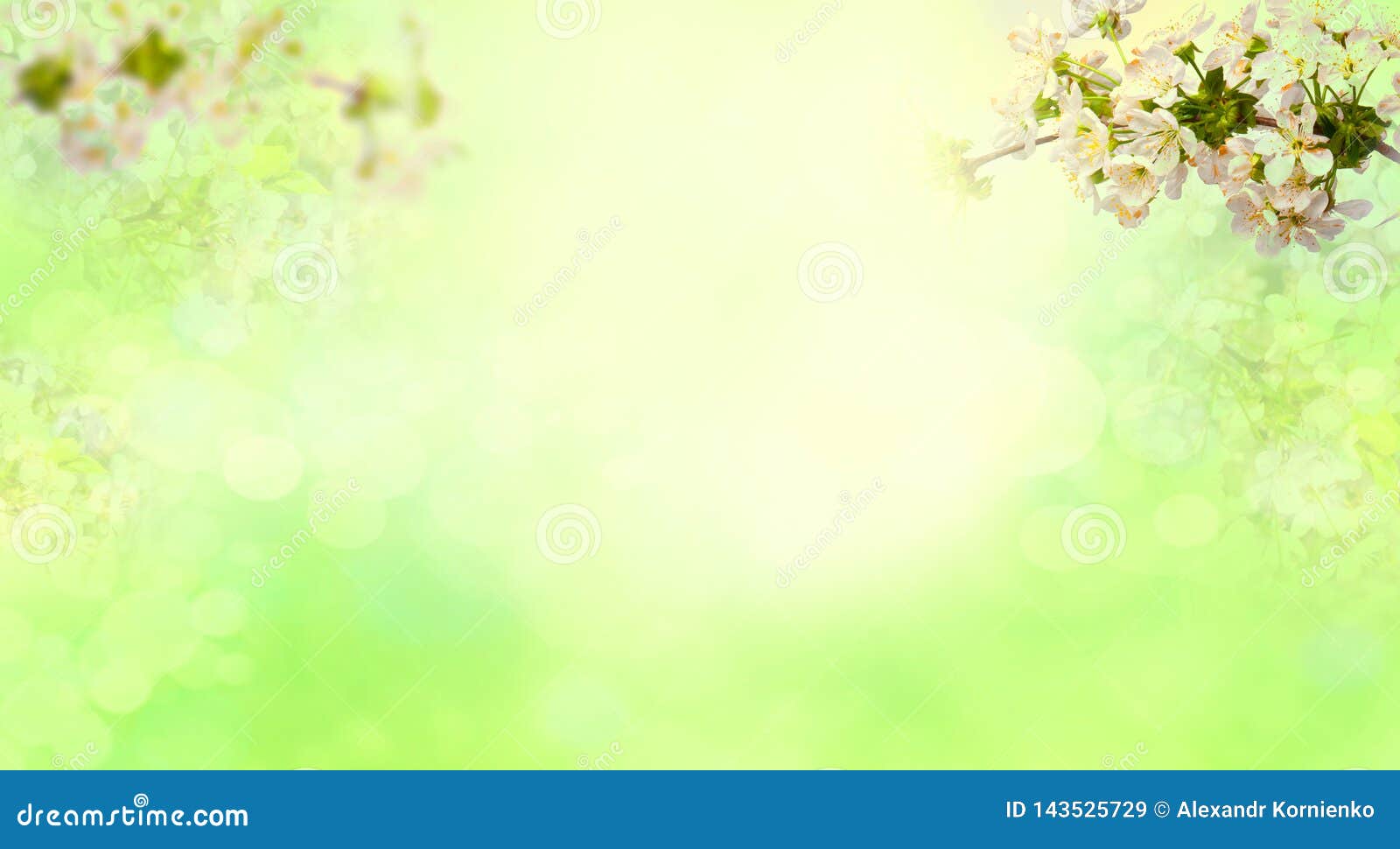 Spring blur background stock image. Image of forest - 143525729