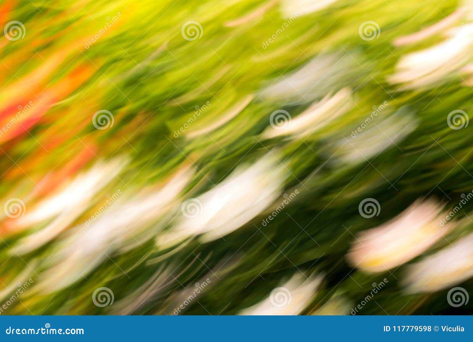 Spring Blurred Flowers. Abstract Motion Blur Effect Stock Photo - Image ...