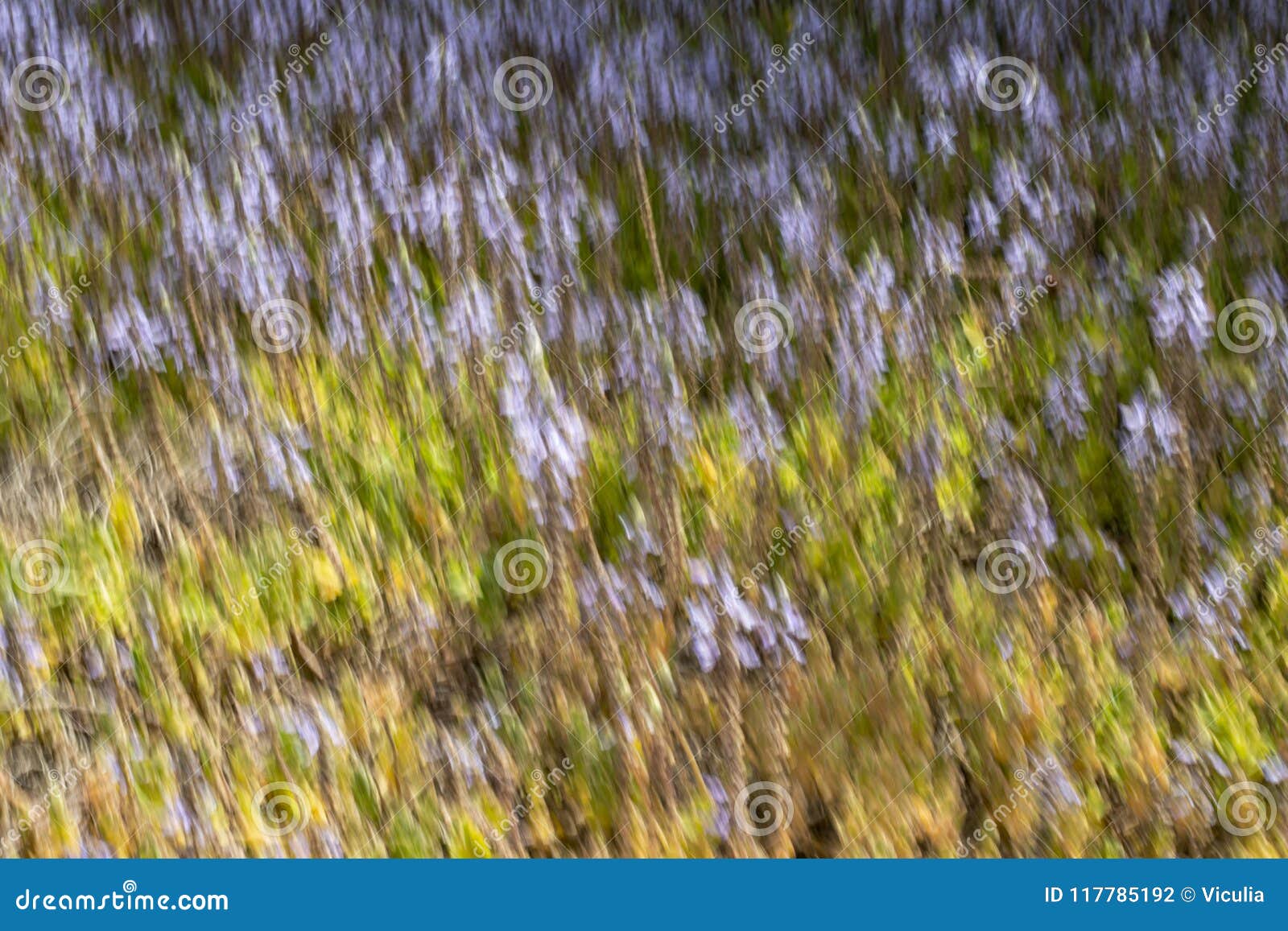 Spring Blurred Flowers. Abstract Motion Blur Effect Stock Photo - Image ...